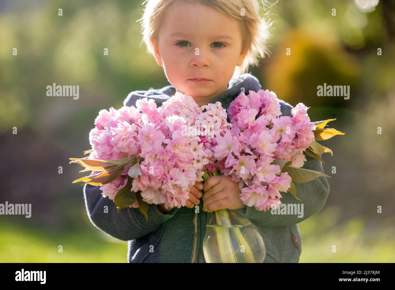 Sweet blond boy, holding pink flowers in garden on sunset Stock Photo ...
