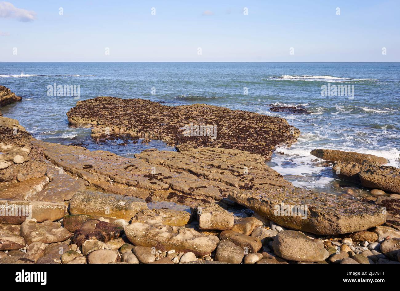 Exposed rocky reef at low tide at Filey Brigg, Yorkshire, UK Stock ...