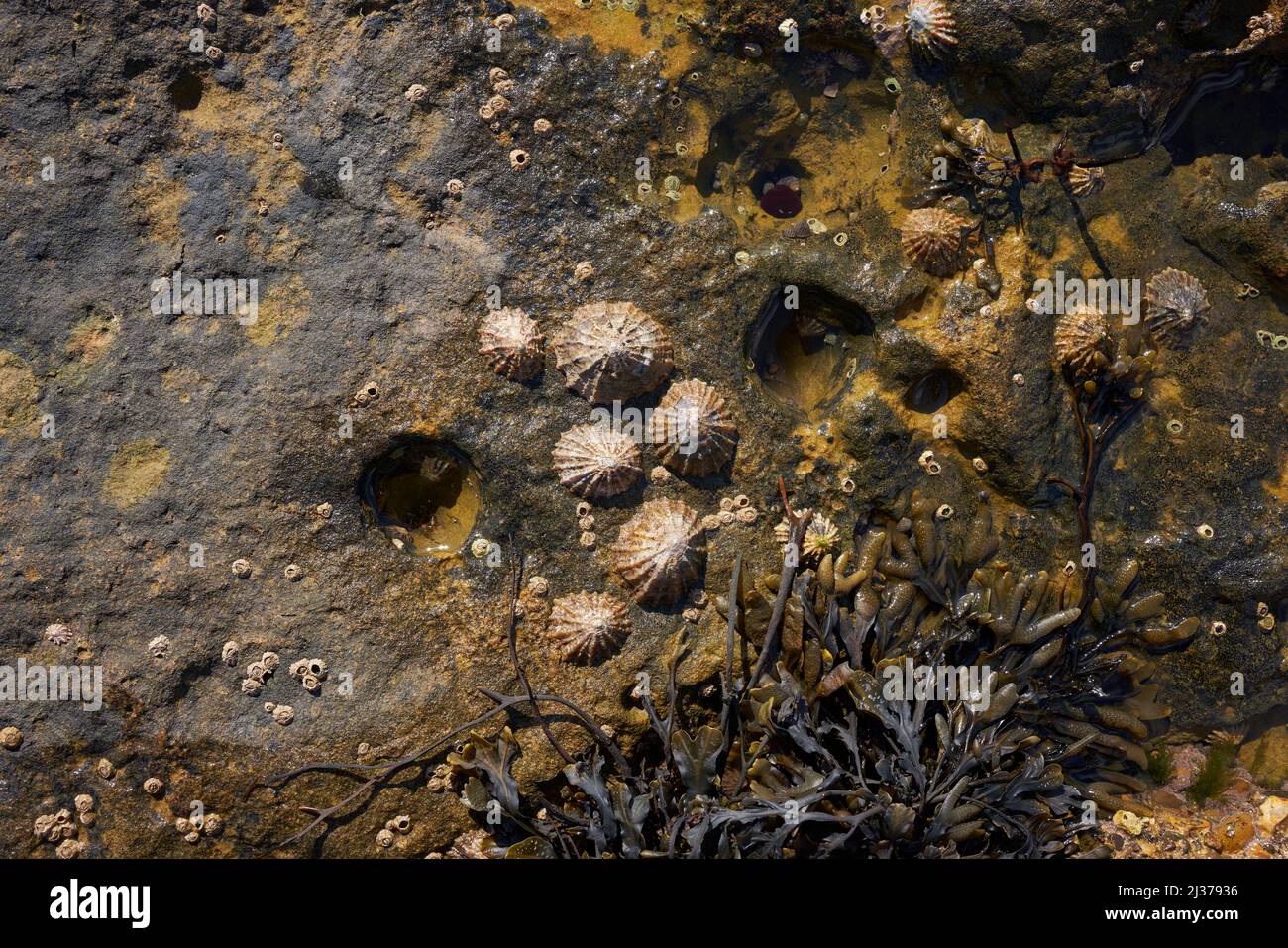 Stuck on a rock hi-res stock photography and images - Alamy