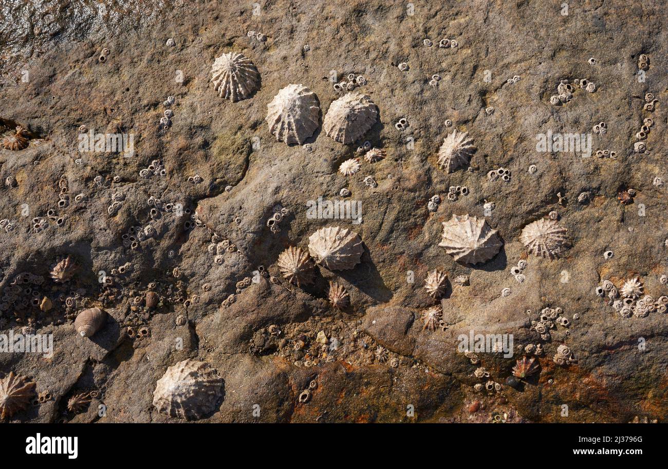 Stuck on a rock hi-res stock photography and images - Alamy