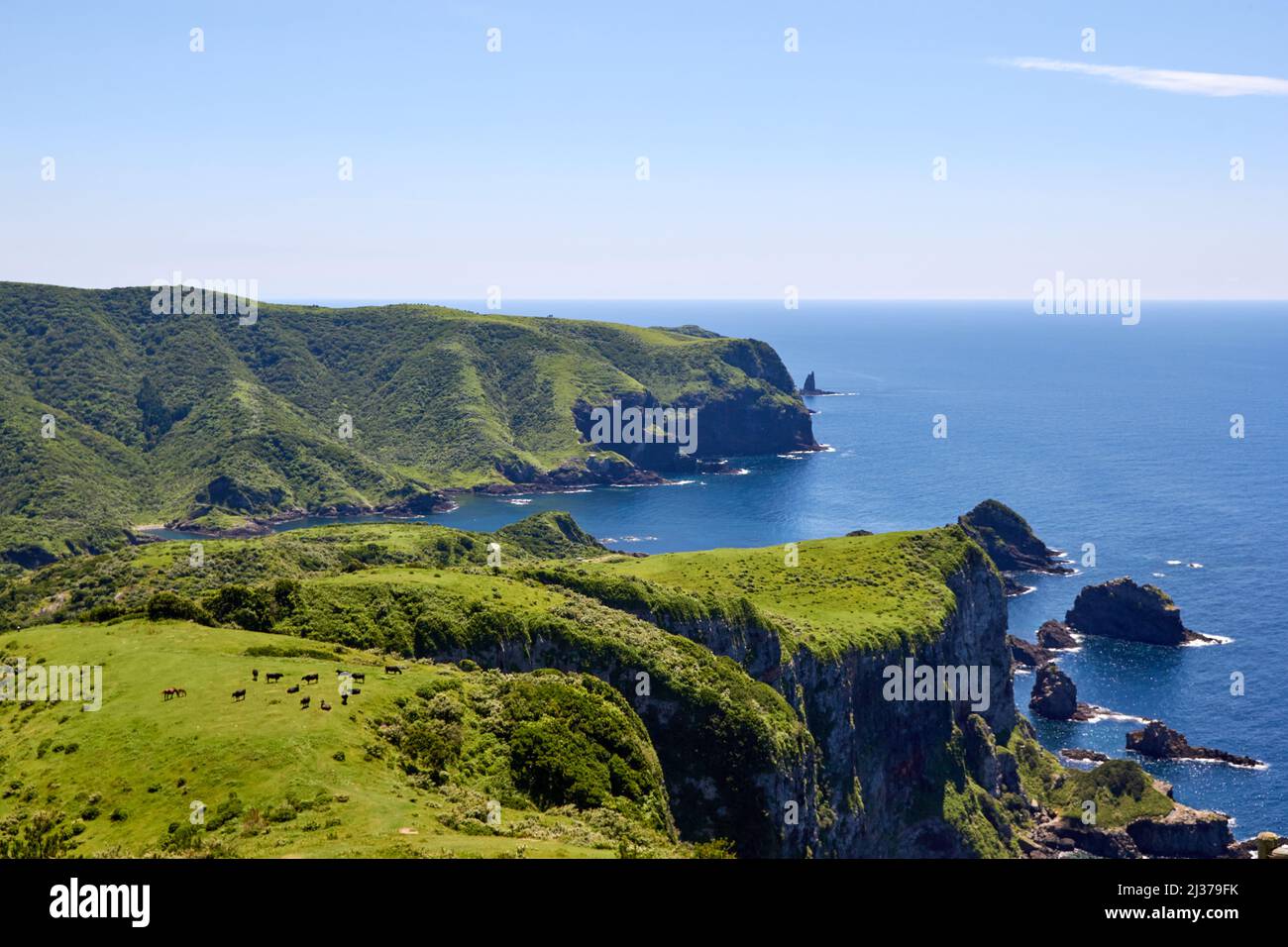 Kuniga Coast, Nishinoshima; Shimane Prefecture, Japan Stock Photo - Alamy