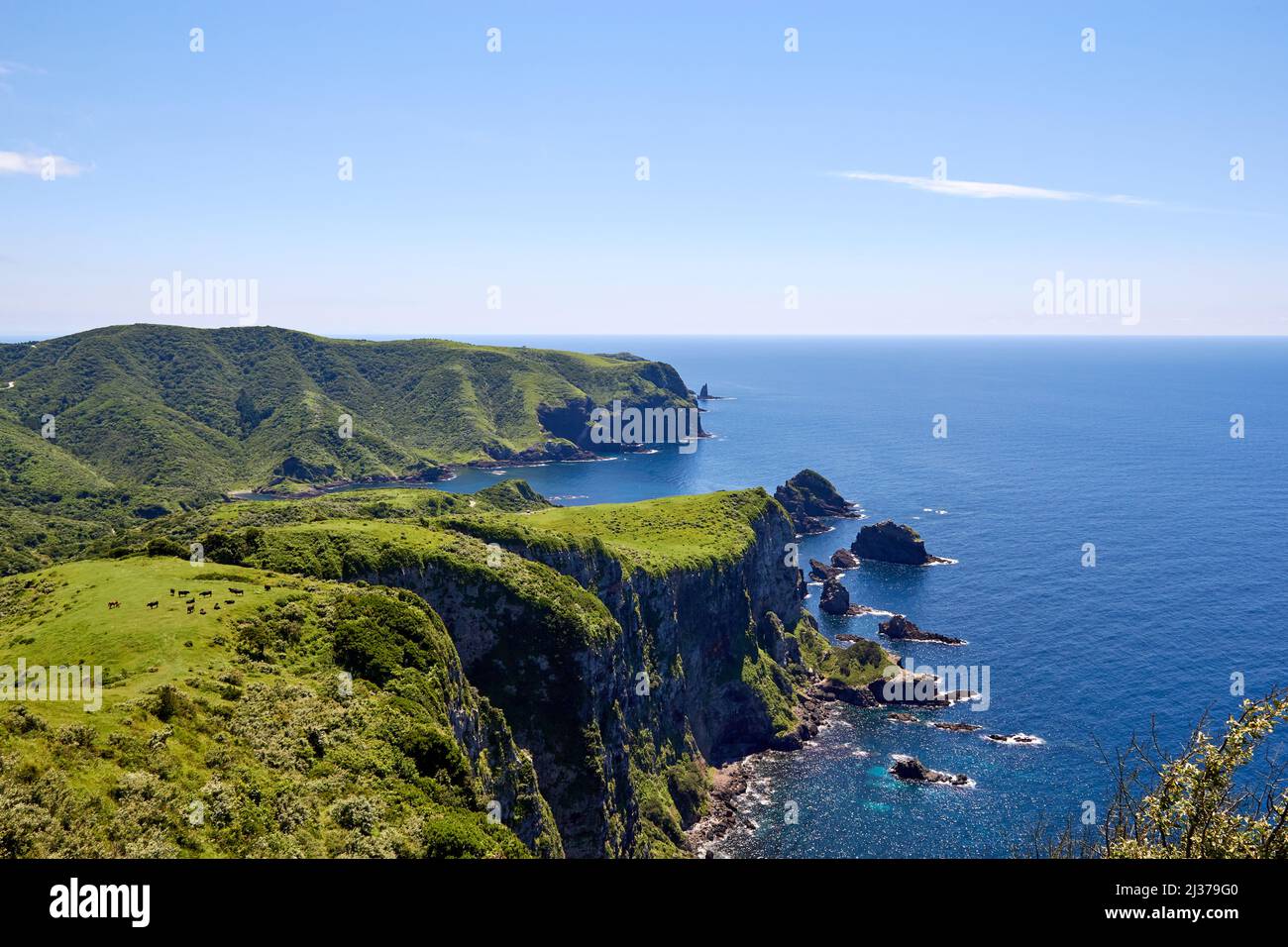 Kuniga Coast, Nishinoshima; Shimane Prefecture, Japan Stock Photo - Alamy