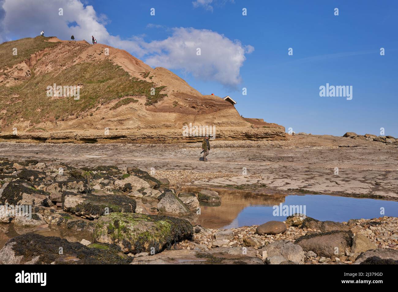 Headland at Filey Brigg, East Yorkshire, UK Stock Photo - Alamy