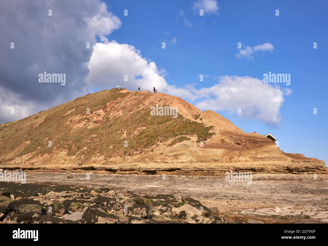 Headland at Filey Brigg, East Yorkshire, UK Stock Photo - Alamy