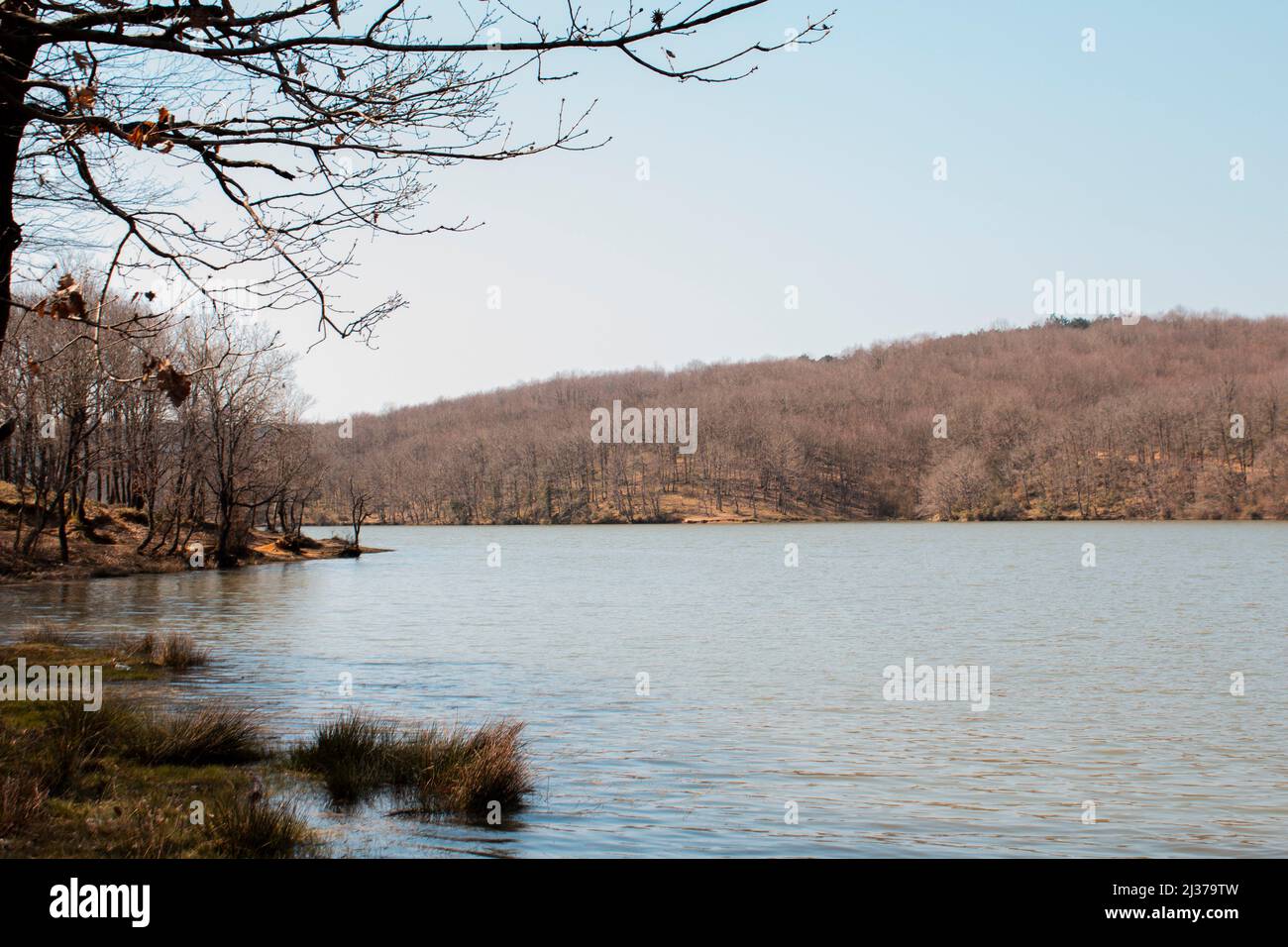 Lake and forest landscape, wide-angle view, autumn scenery, outdoor ...