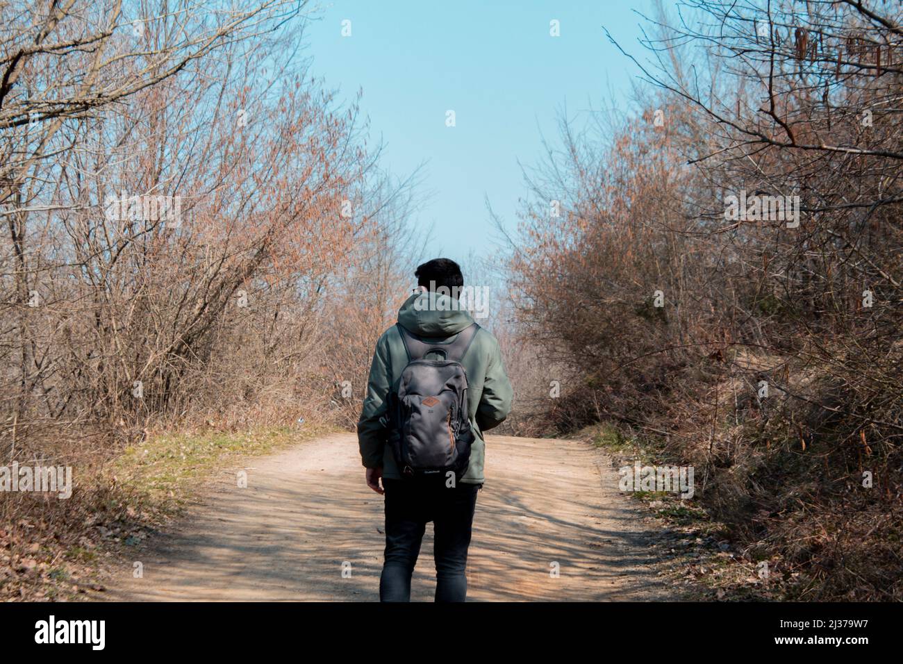 Man wandering on a path with a backpack in a forest, a man with bag ...