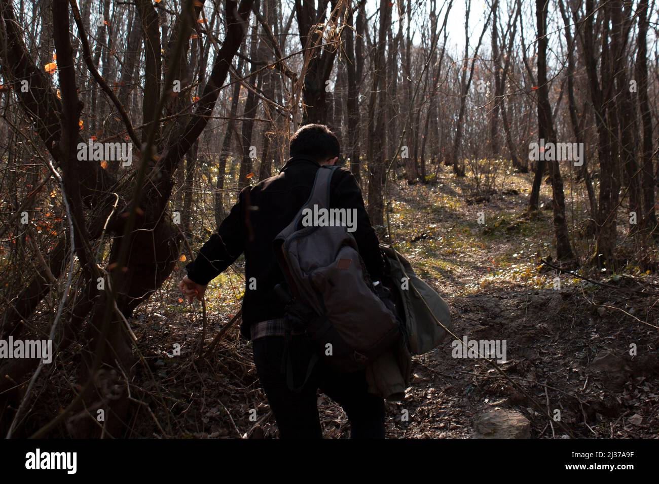 Man walking in a sludgy and bumpy path in forest, muddy and rocky road ...