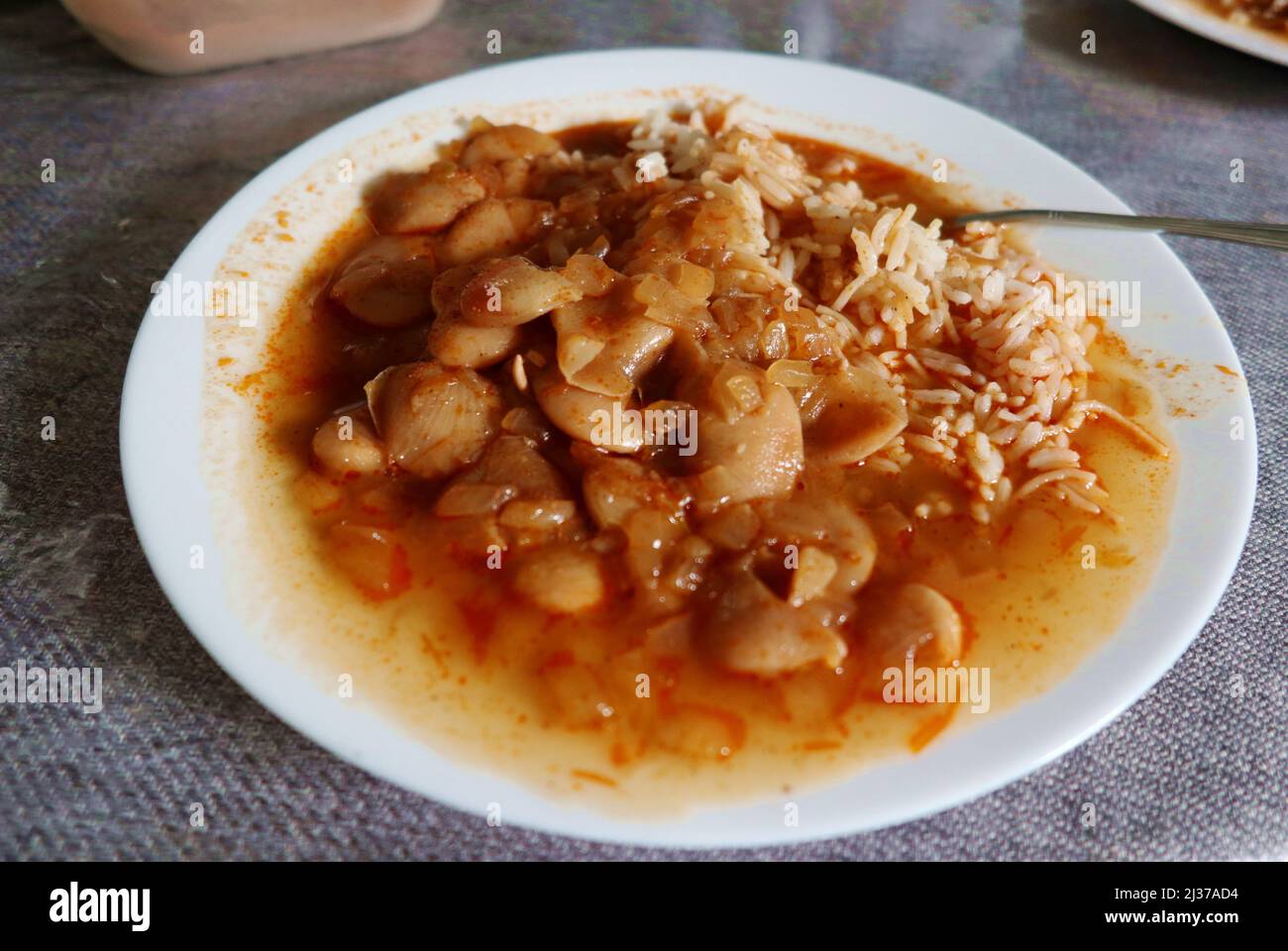 Beirut lebanon poverty former middle class bankrupt deputy prime hi-res ...