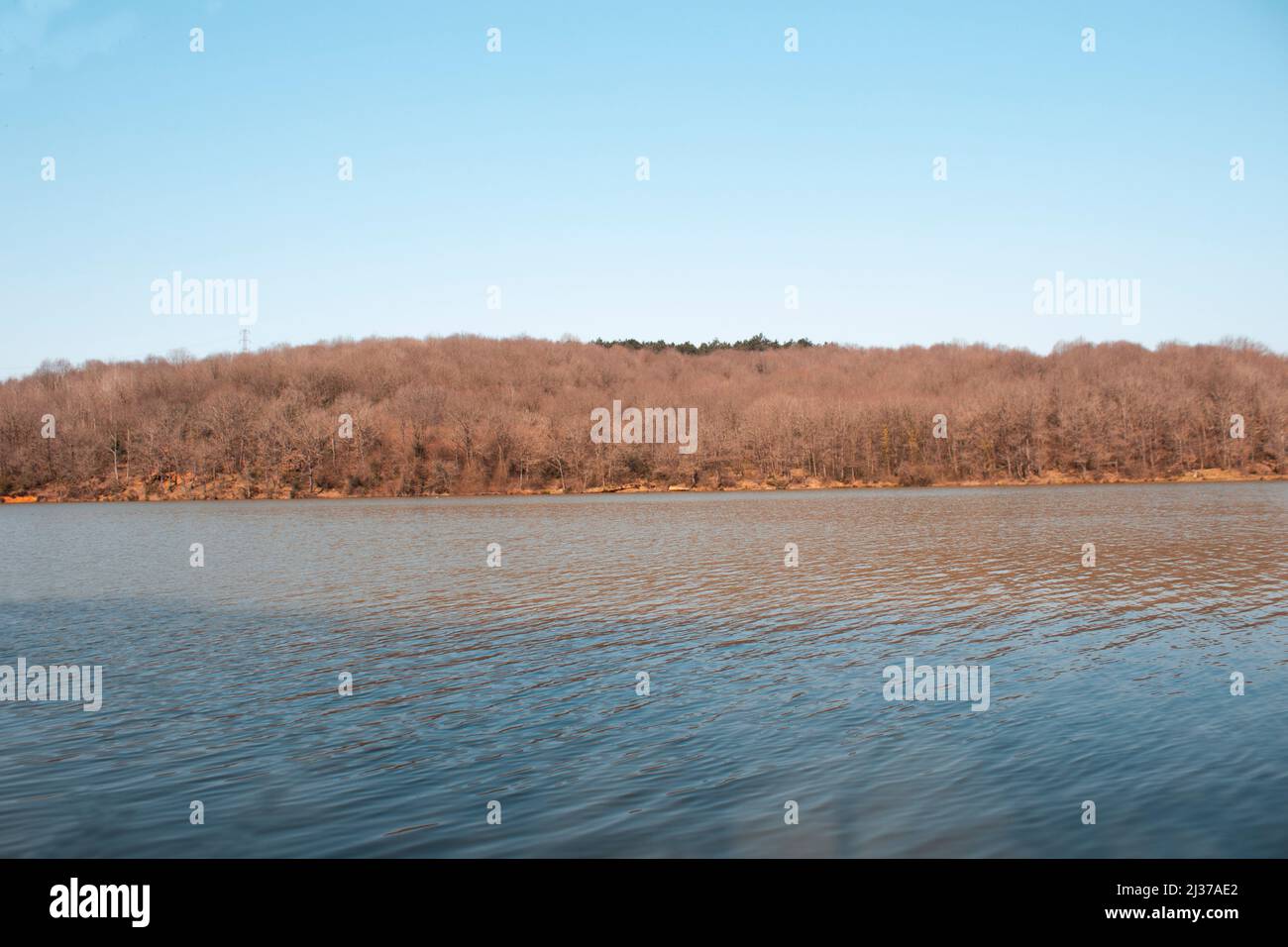 Lake and forest landscape, wide angel view, autumn scenery, outdoor ...