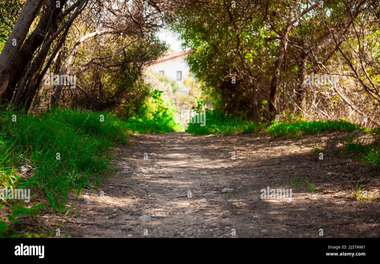 Abstract concept of my way or a continuous journey. A narrow path ...