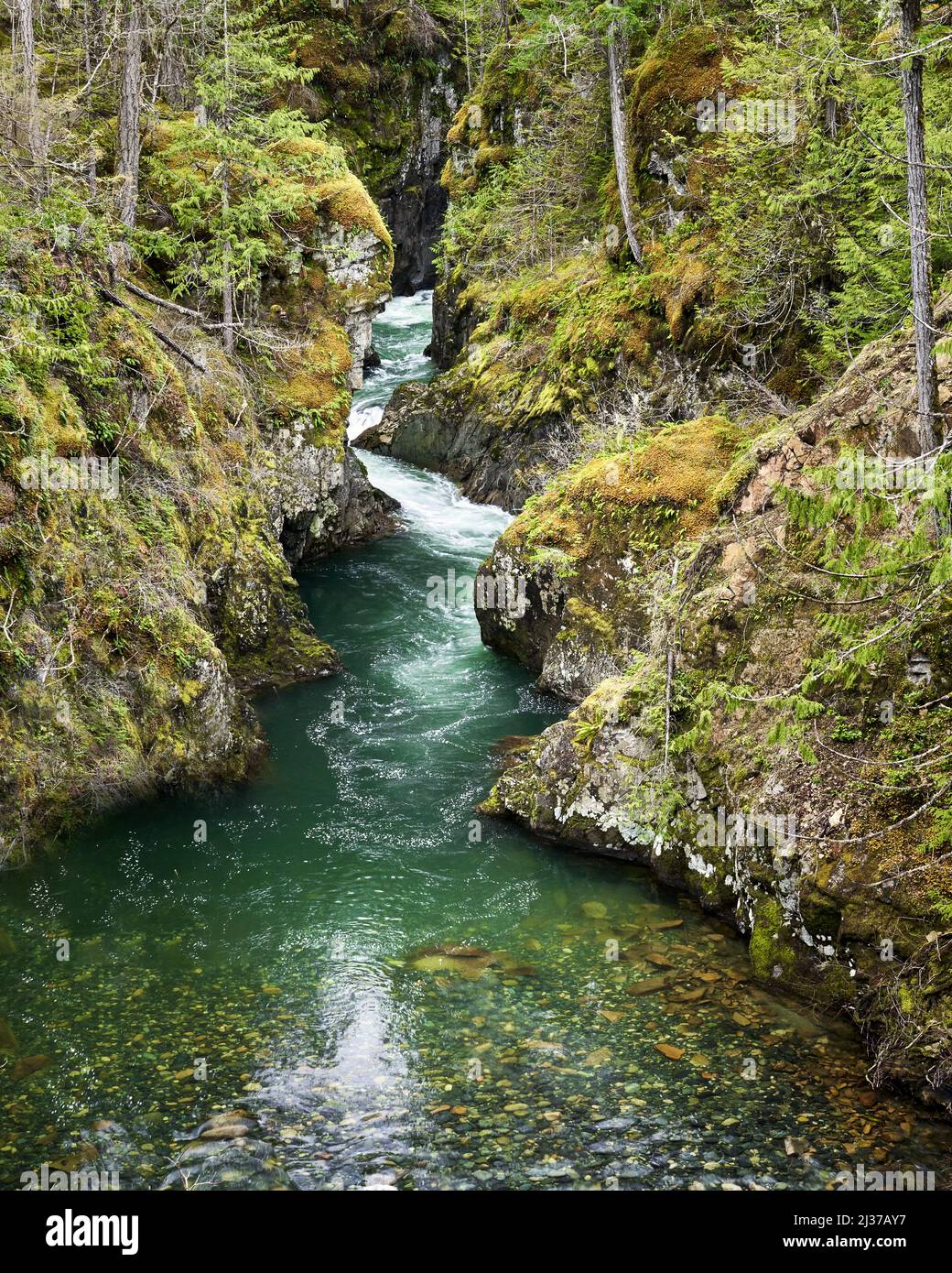Cool, green water cascading through a narrow mountain canyon in a ...