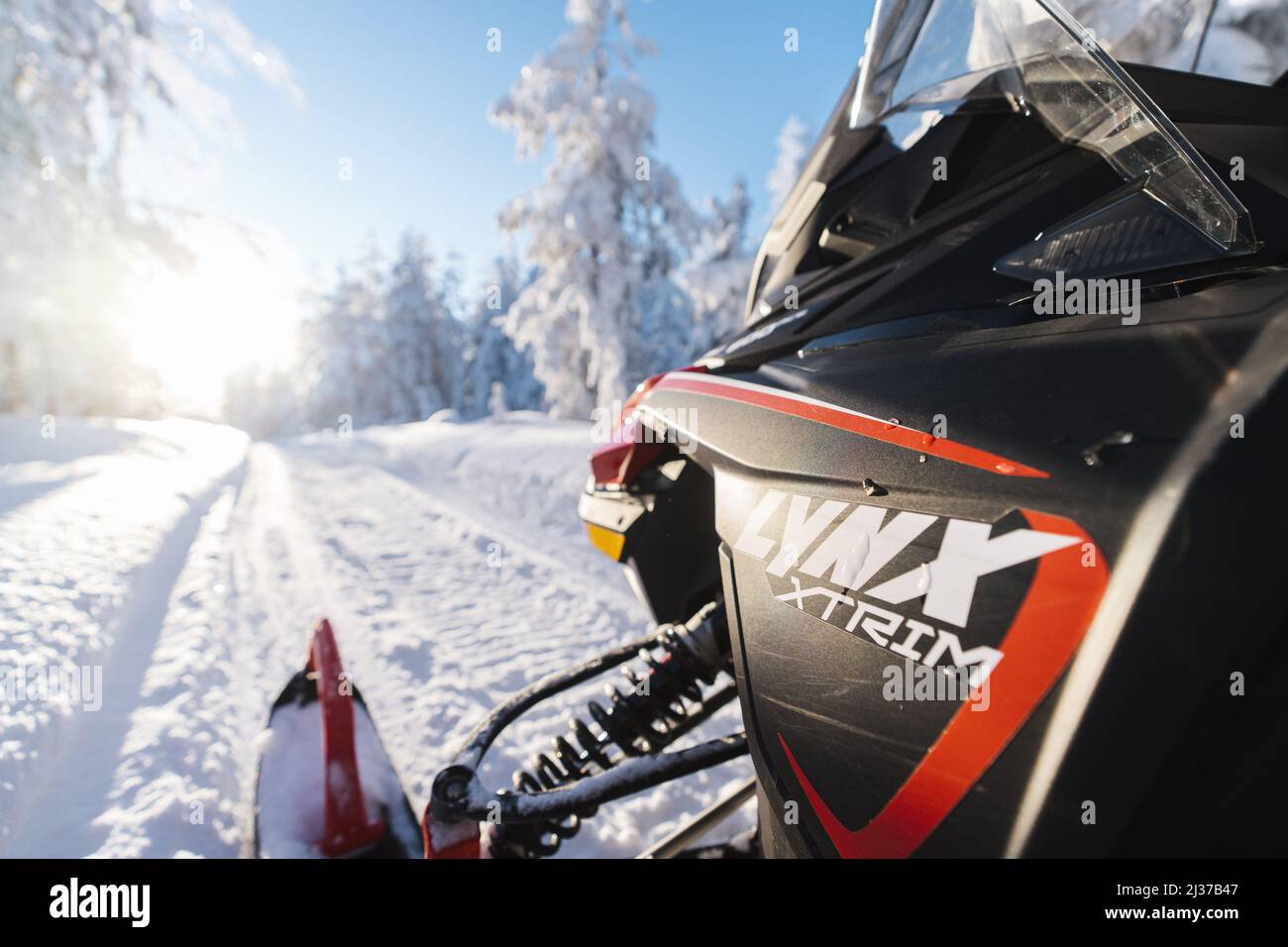 Lynx tracks in snow hi-res stock photography and images - Alamy