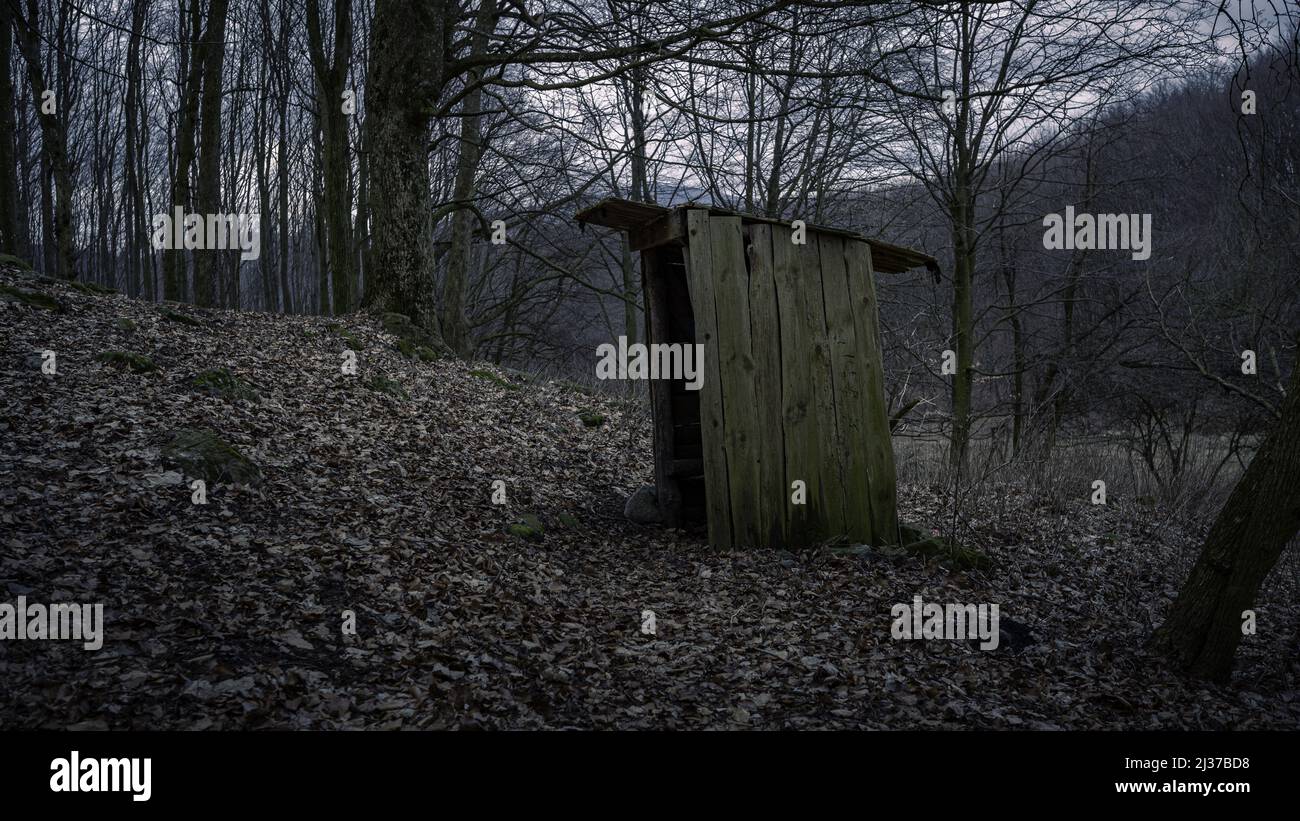 A view of an abandoned dark forest with a wooden small hut in Slovakia ...