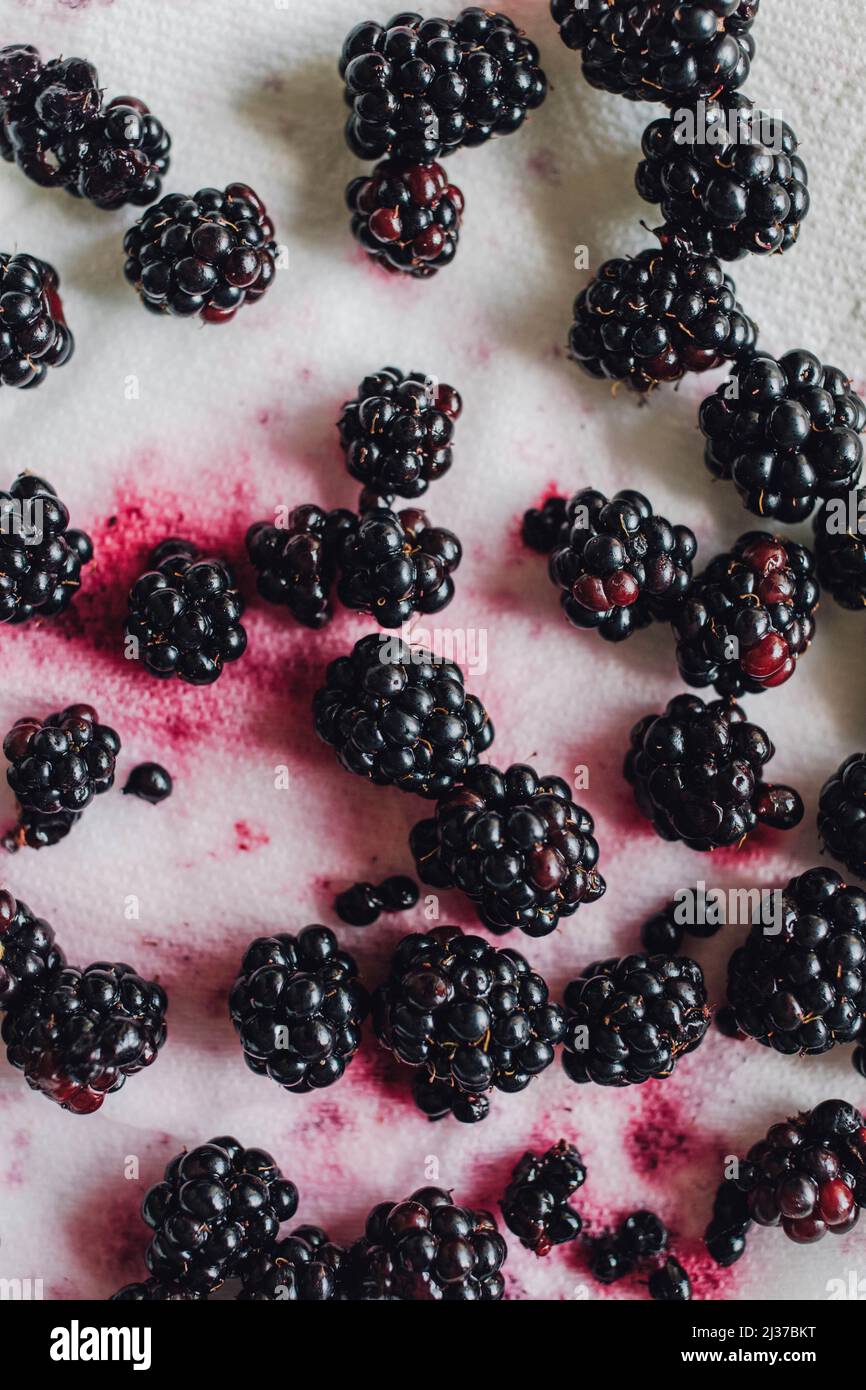 Berry stain paper hi-res stock photography and images - Alamy
