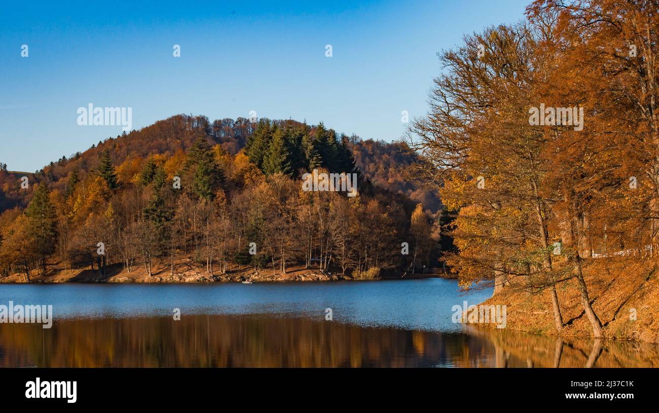 A tranquil scenery of lake along with trees during autumn in Slovakia ...