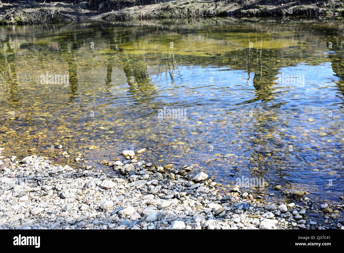 A Floodplain forest is a bottomland, deciduous or deciduous-conifer ...