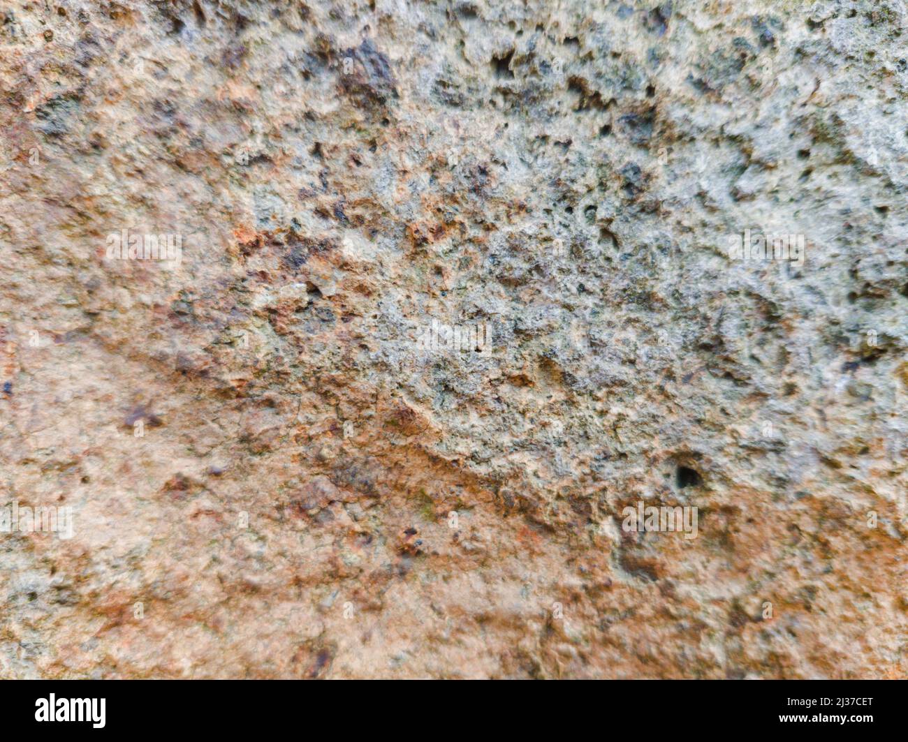 Moldy rock hi-res stock photography and images - Alamy