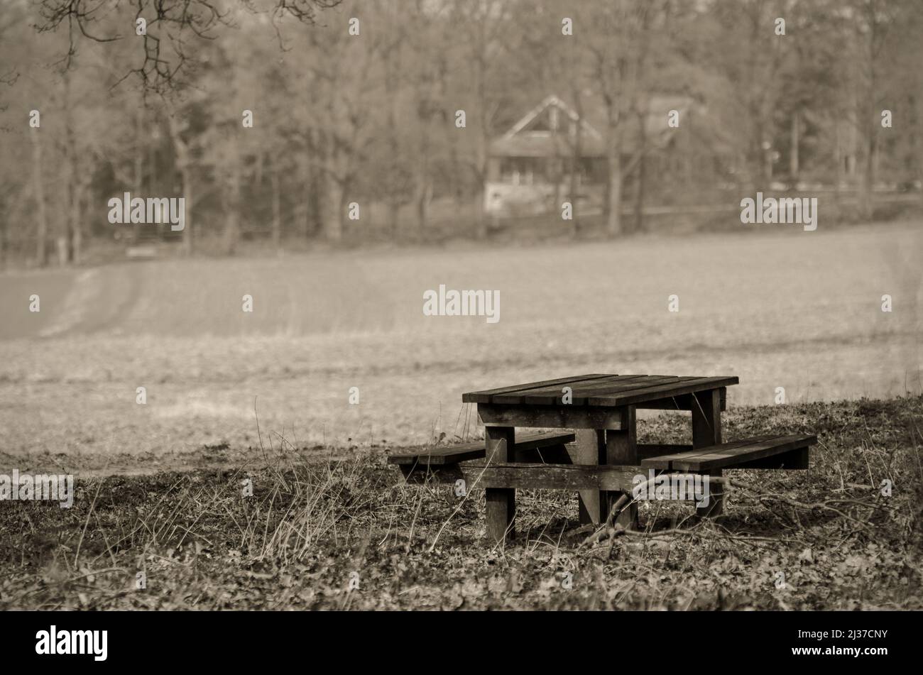 An old wooden bench in a field with trees in the background Stock Photo ...
