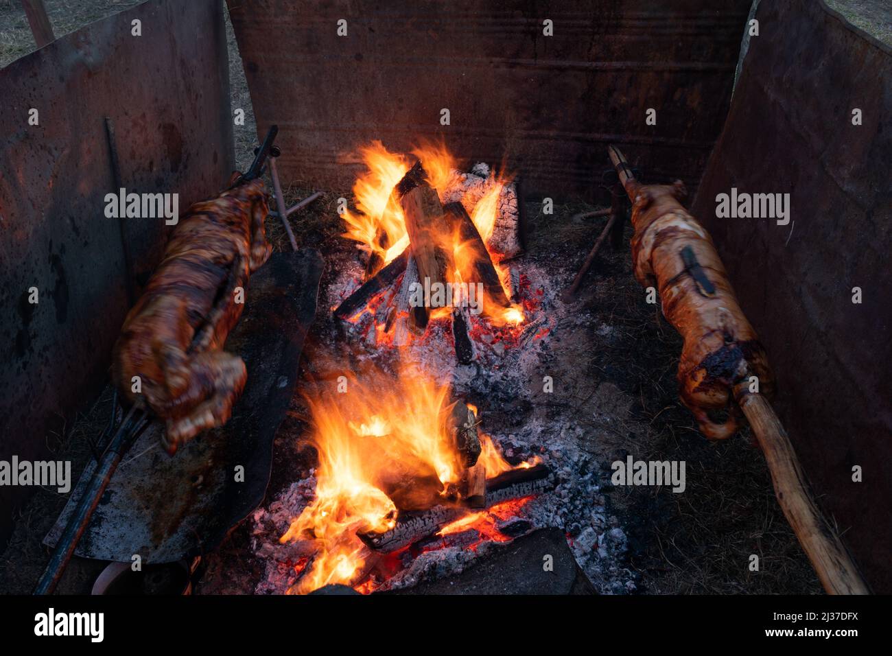 Two whole pigs roasting on a spit next to open flame, rotisserie or ...