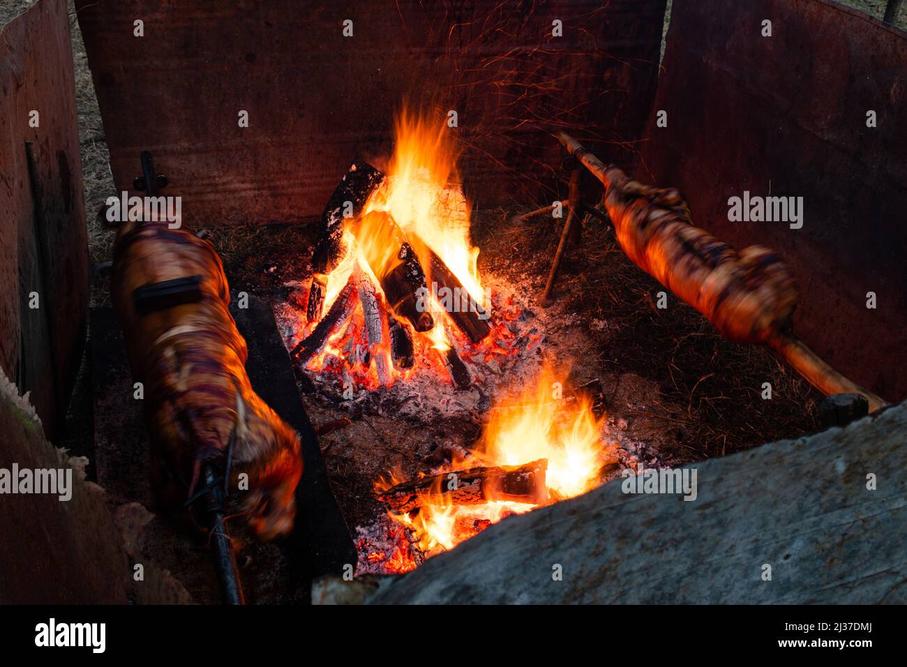 Two whole pig roasting on spit next to fire with sparks in long ...