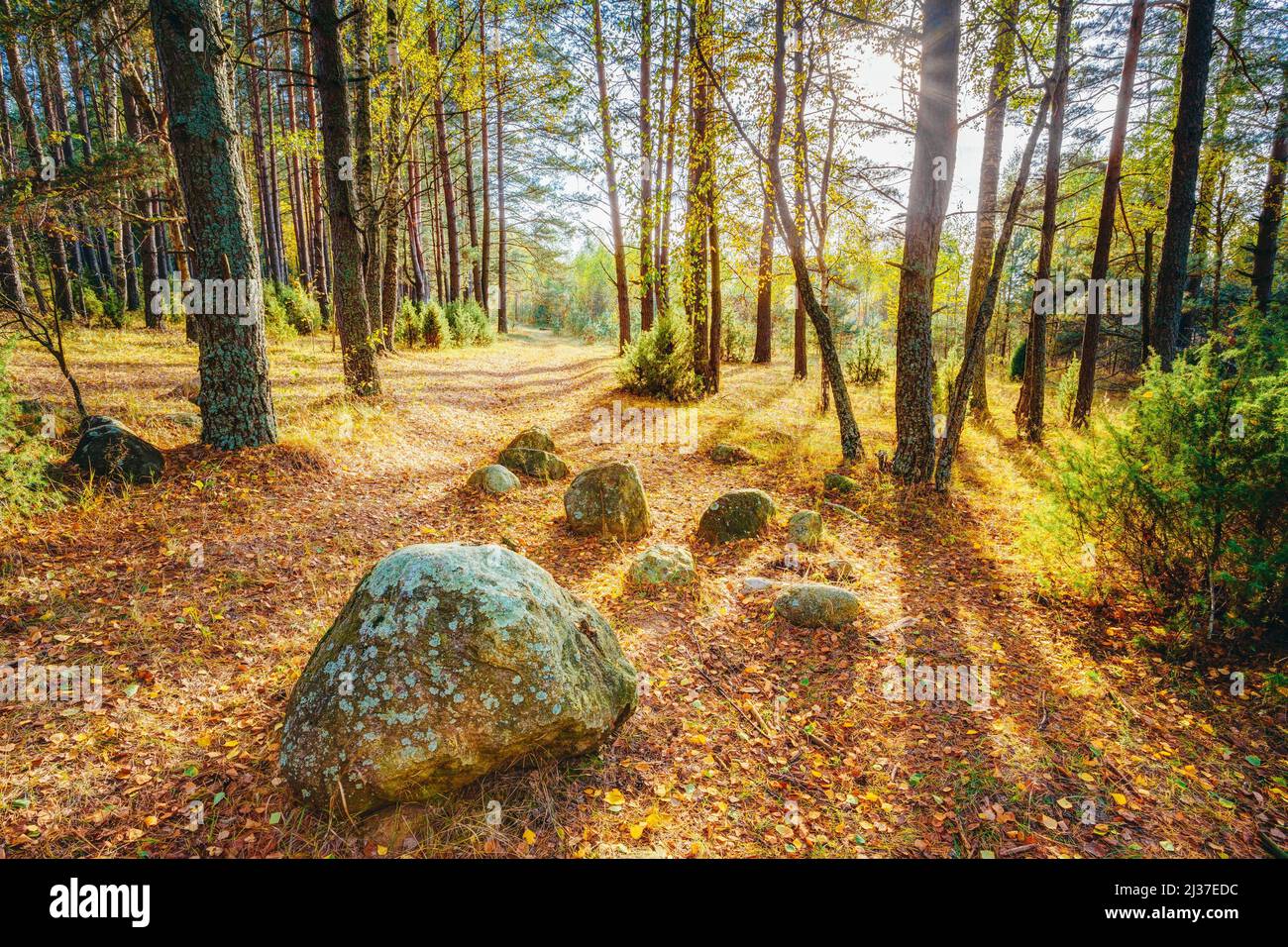 Russia ice age park hi-res stock photography and images - Alamy