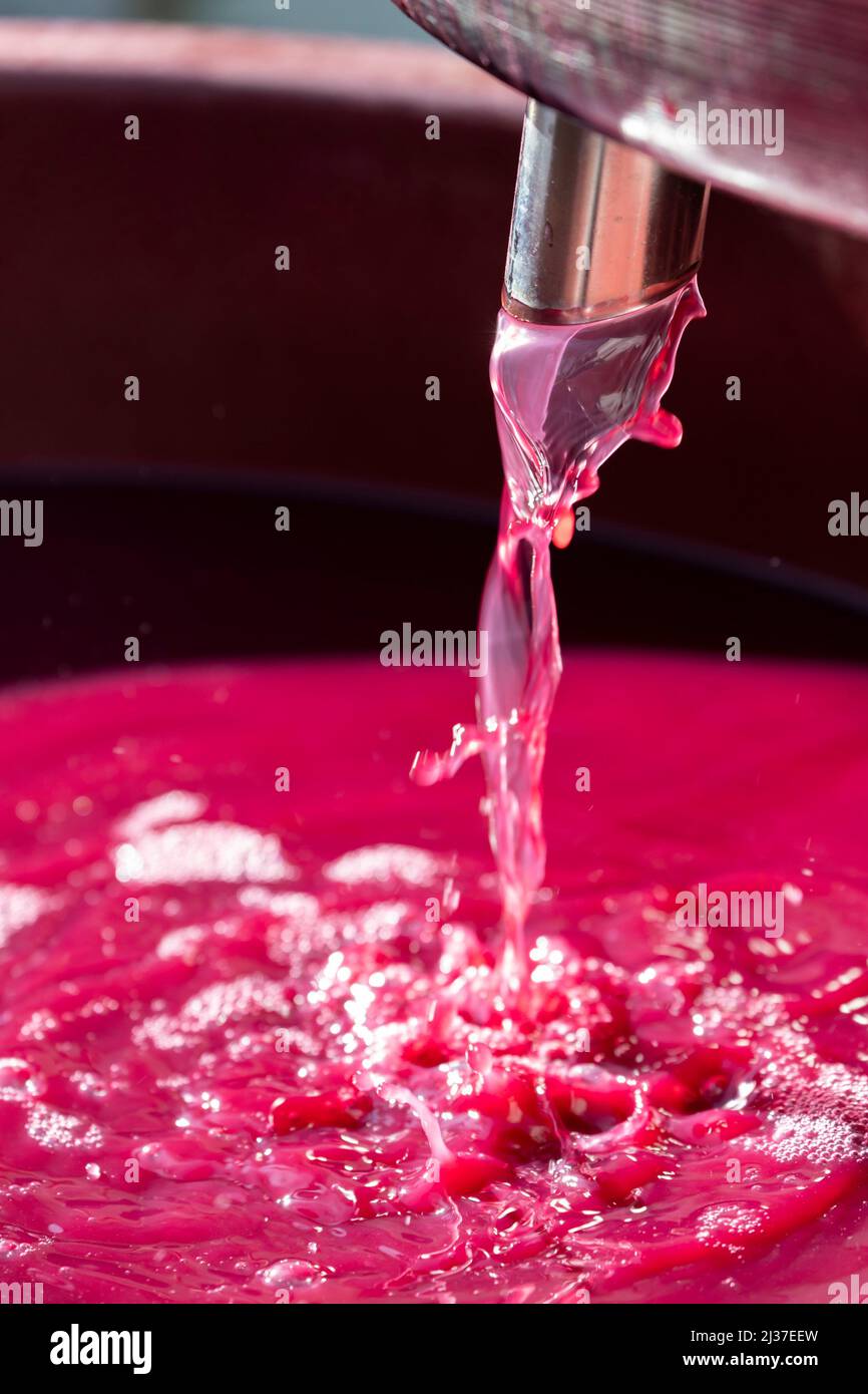 Wine making grape pressing machine hi-res stock photography and images ...