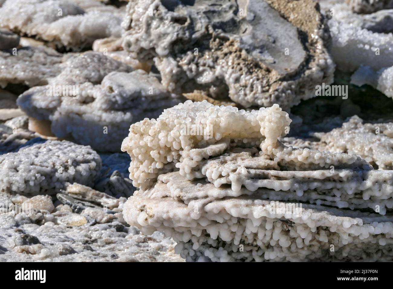 Round salt crystals of the Dead Sea close-up in the rays of the sun ...