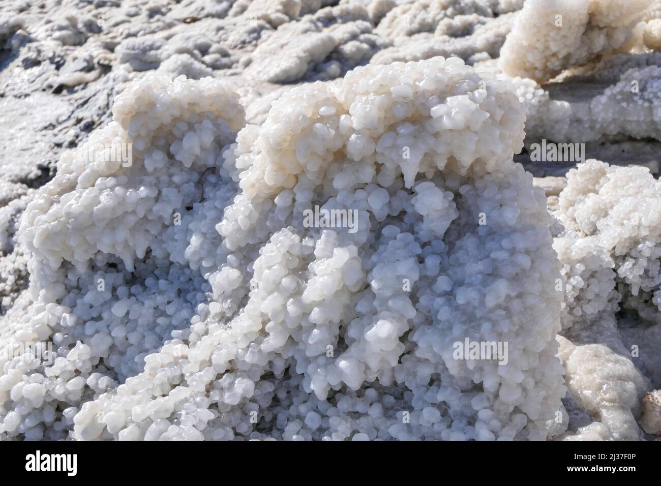 Round salt crystals of the Dead Sea close-up in the rays of the sun ...
