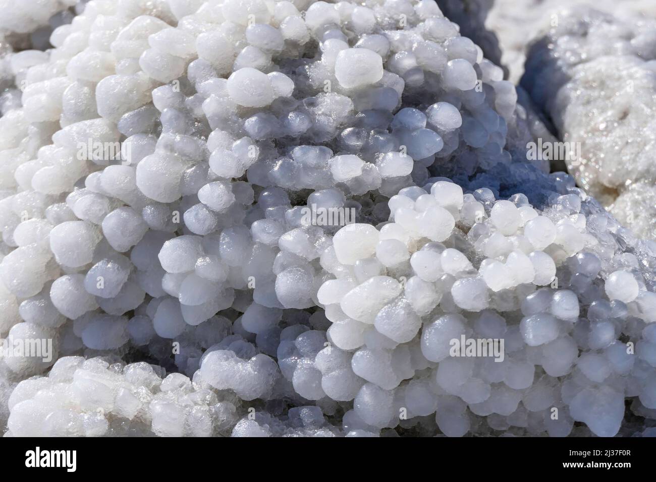Round salt crystals of the Dead Sea close-up in the rays of the sun ...