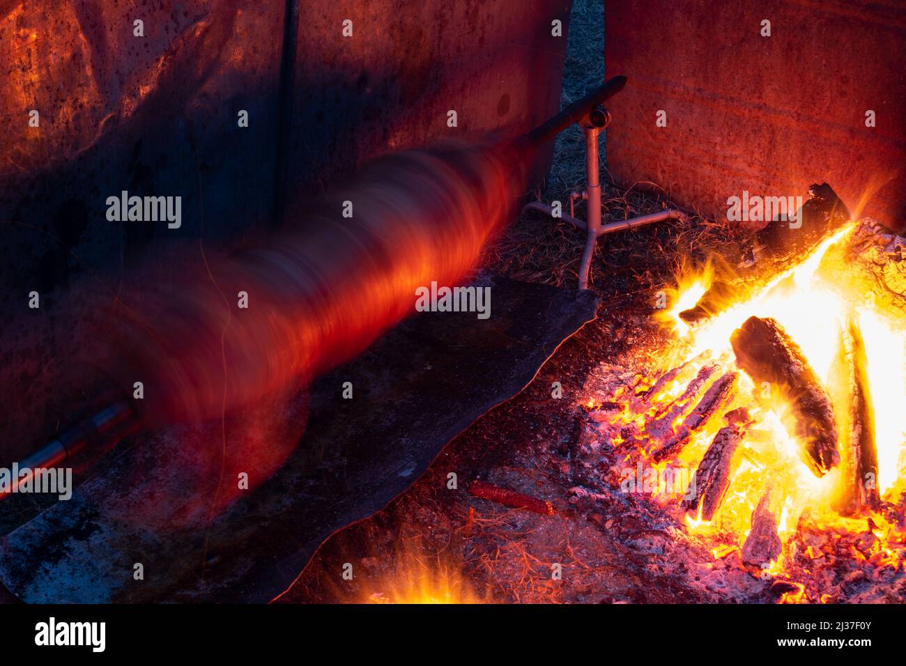 Whole pig spins on a spit next to fire at night in long exposure ...