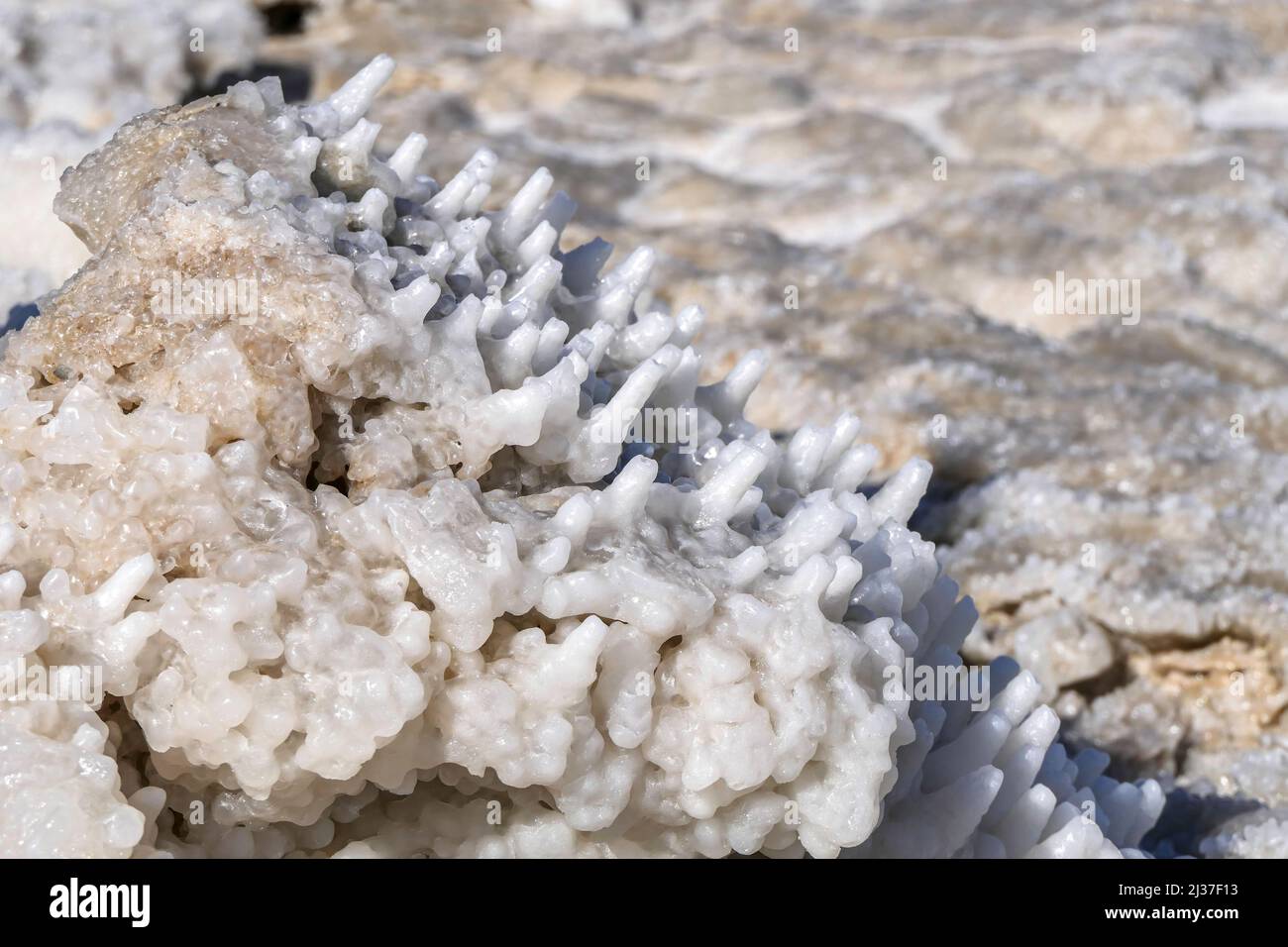 Salt Crystallization