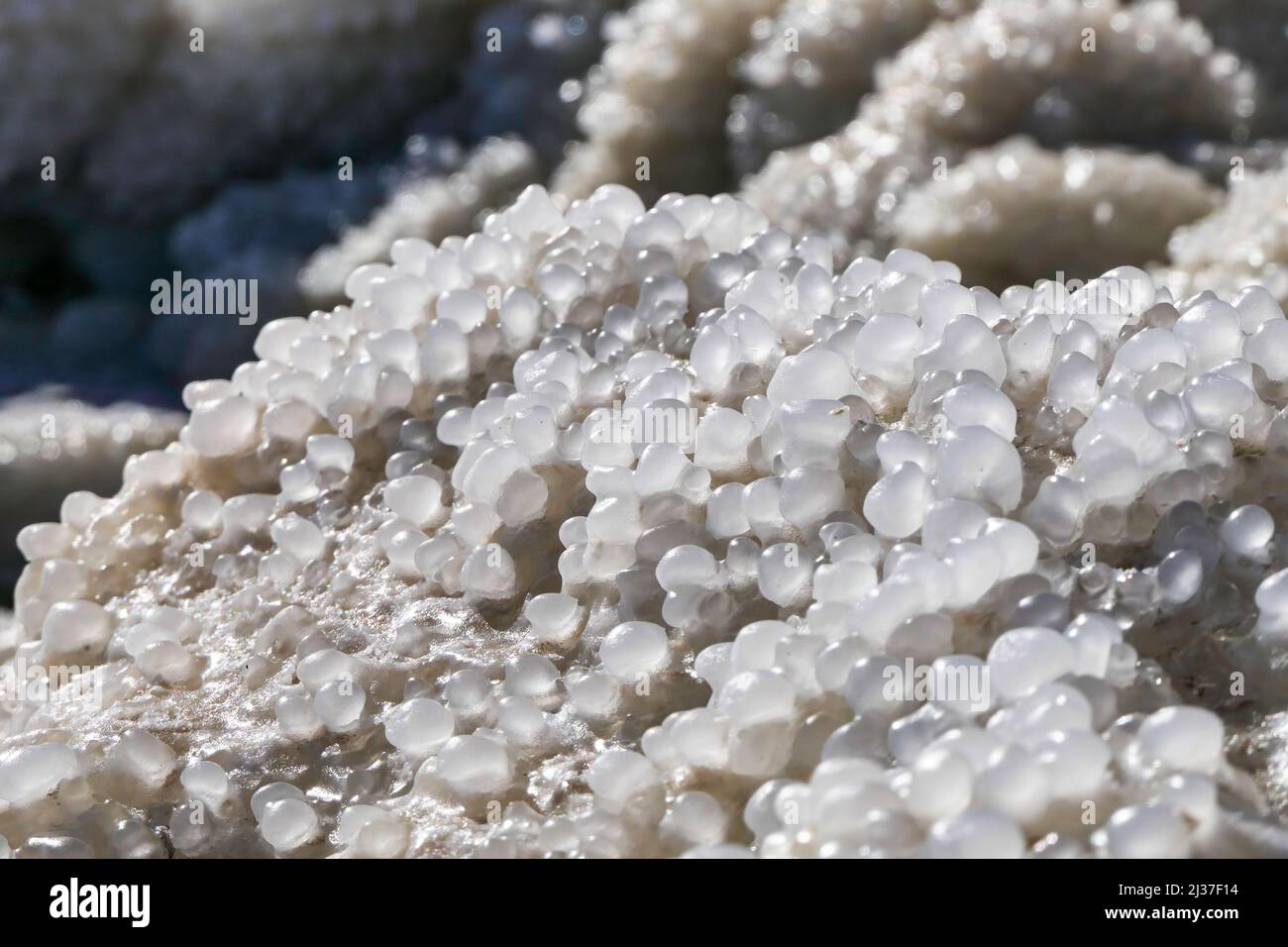 Round salt crystals of the Dead Sea close-up in the rays of the sun ...