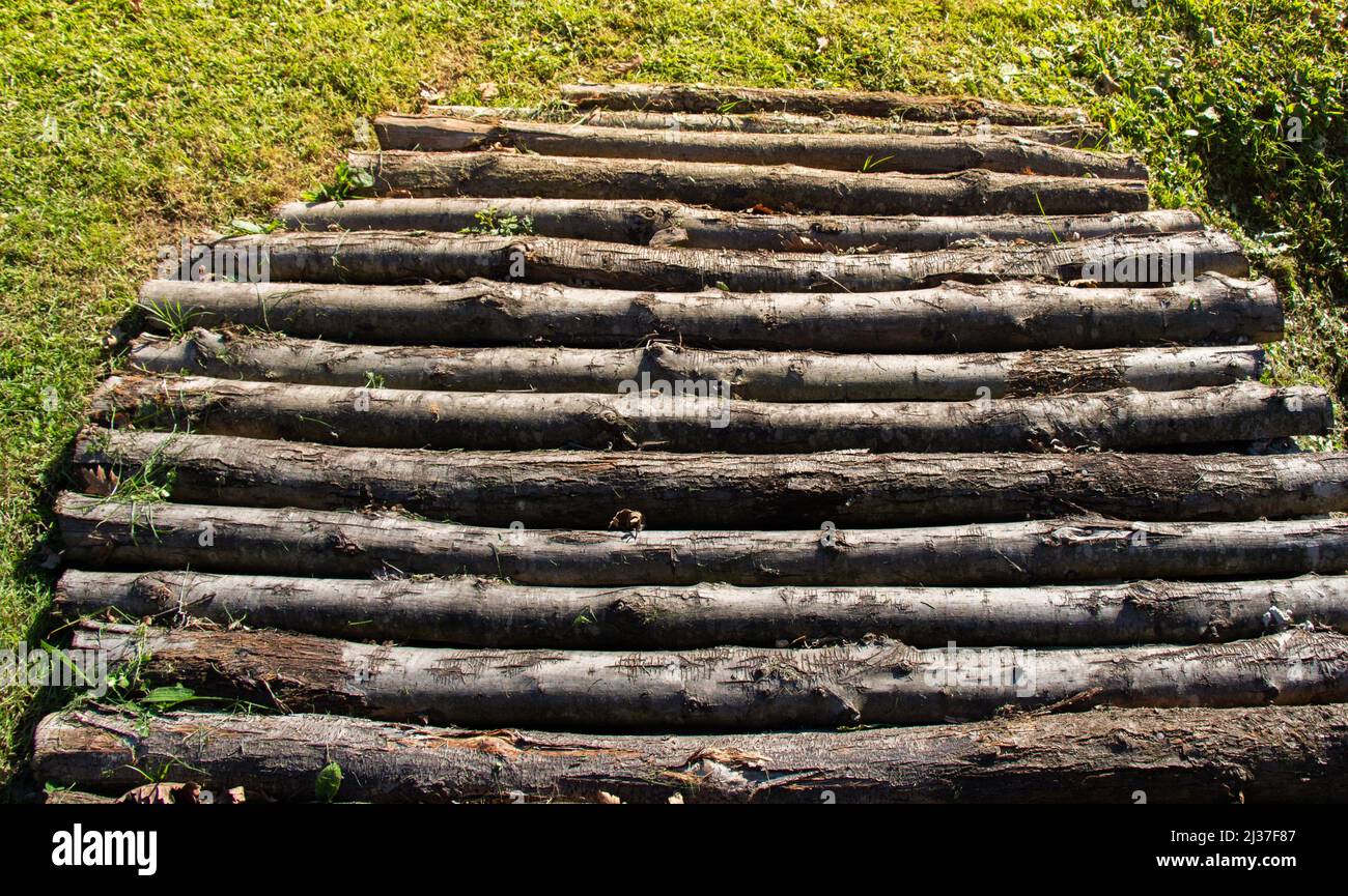 Wooden stick texture hi-res stock photography and images - Alamy