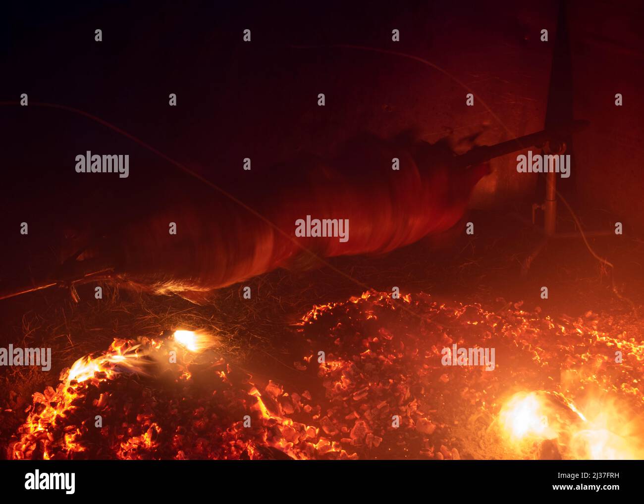 Whole pig spinning on a spit above fire ember in heat and smoke at ...