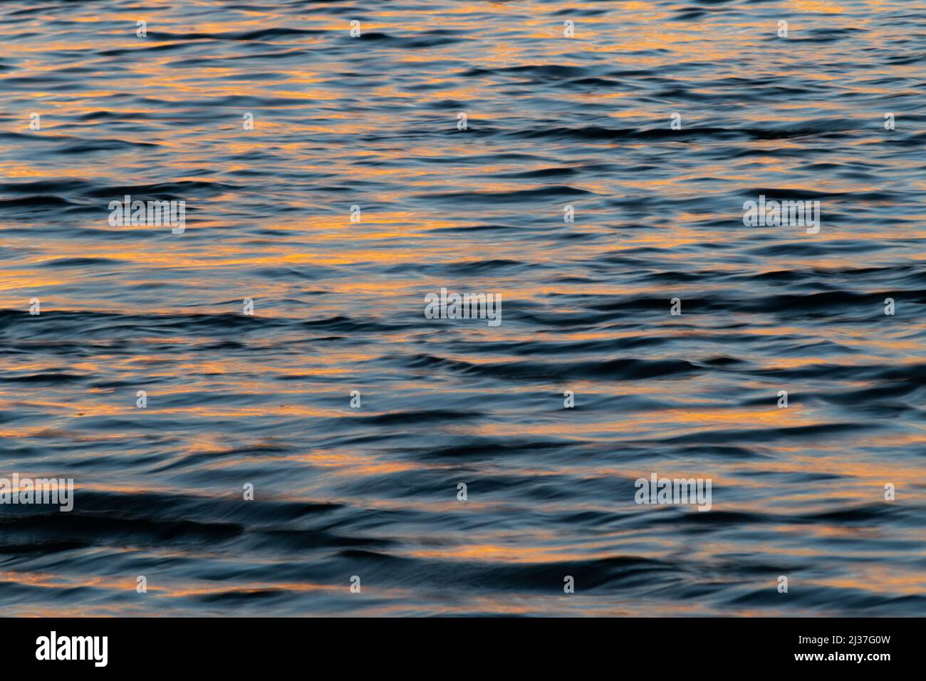 Wavy water surface during sunset, golden light reflecting in water ...
