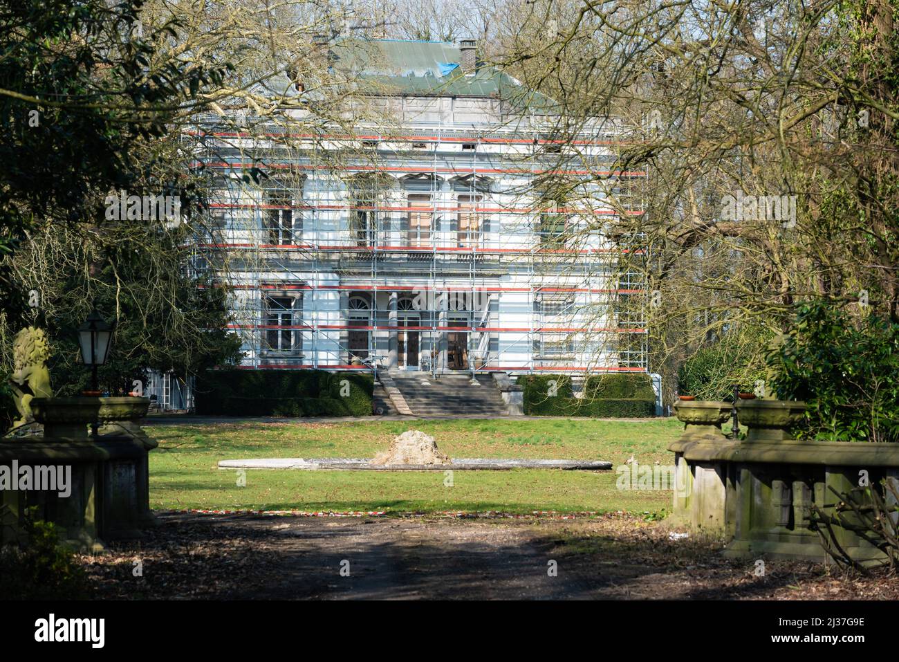 Meise hi-res stock photography and images - Alamy