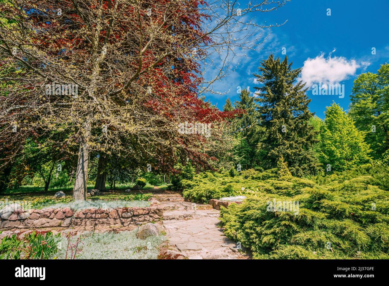 Bush pathway hi-res stock photography and images - Alamy