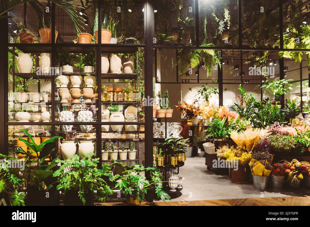 Plant showcase hi-res stock photography and images - Alamy