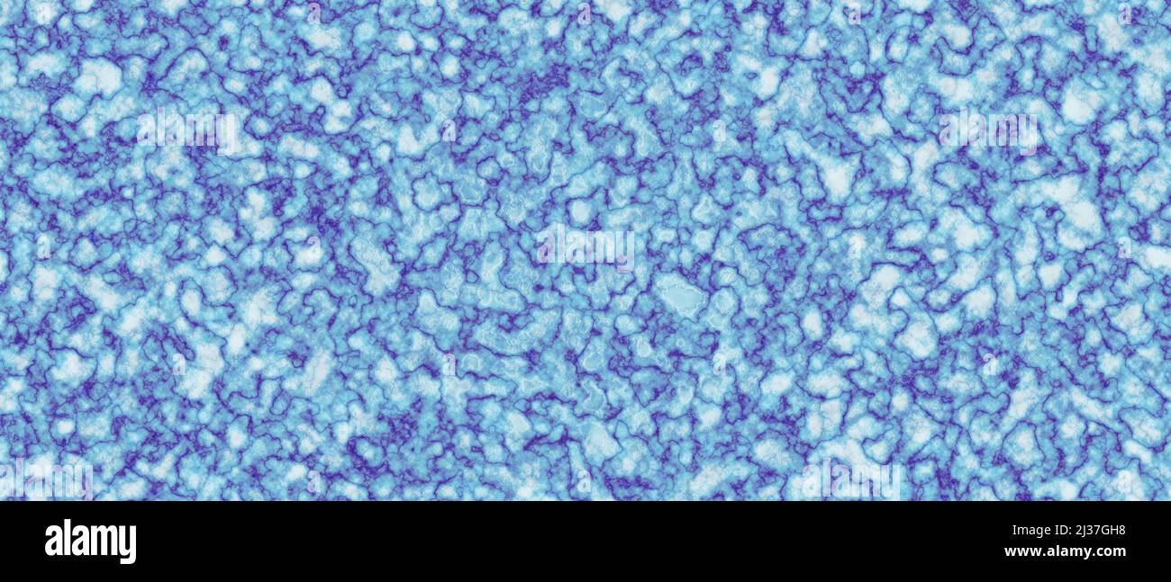 Marble background with blue tone. Banner for background with marble ...