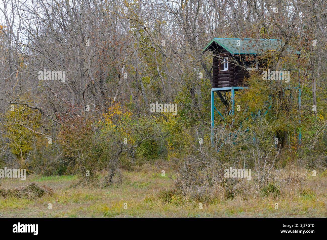 Hunter cabin hunting building hi-res stock photography and images - Alamy