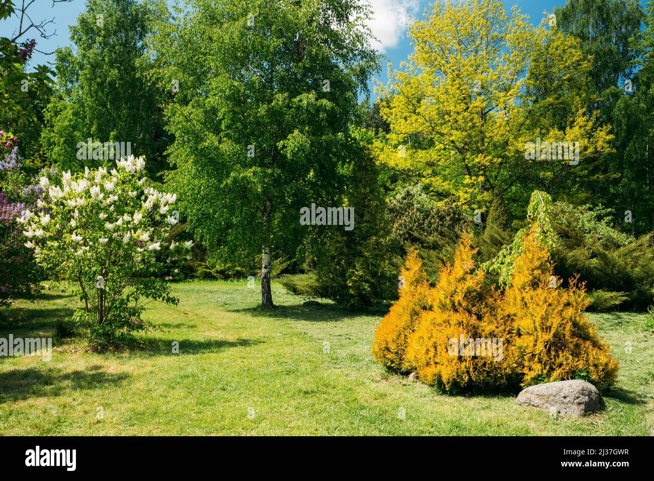 Garden design bushes hi-res stock photography and images - Alamy