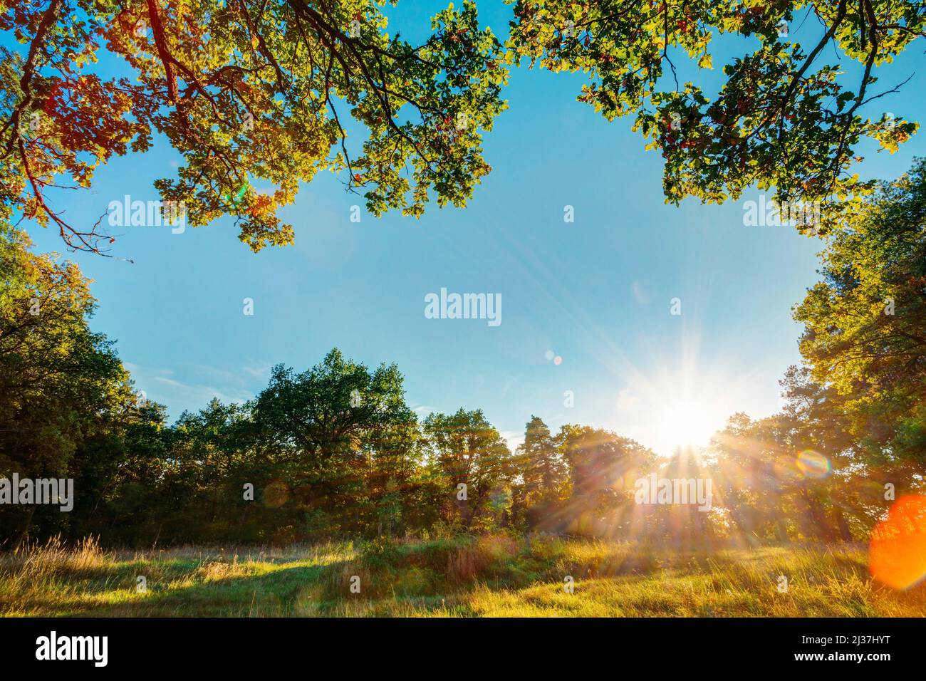 Lens flare effect hi-res stock photography and images - Alamy