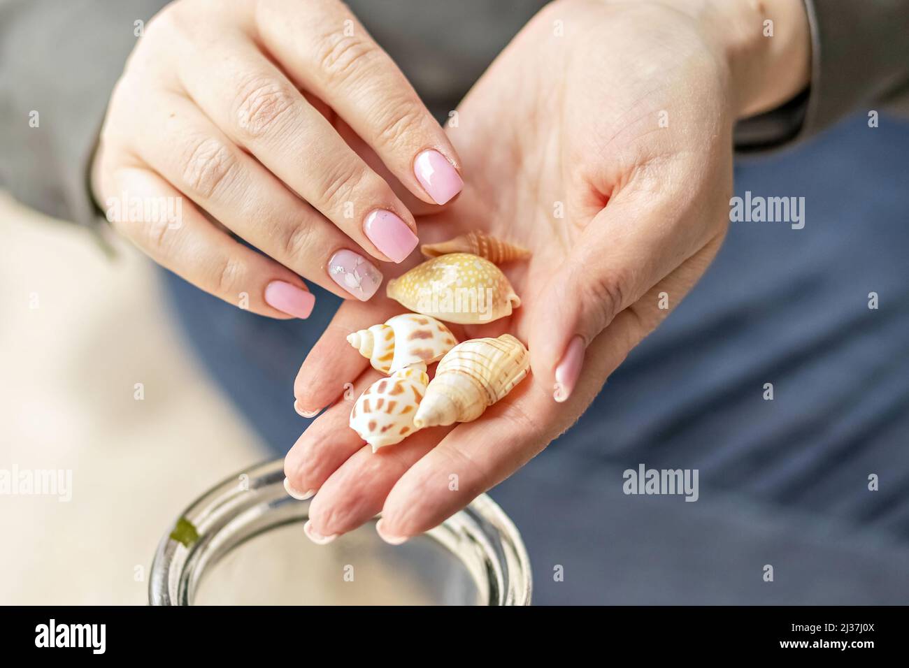 Women's hands hold seashells. Puts the shells in a glass jar. Beach ...