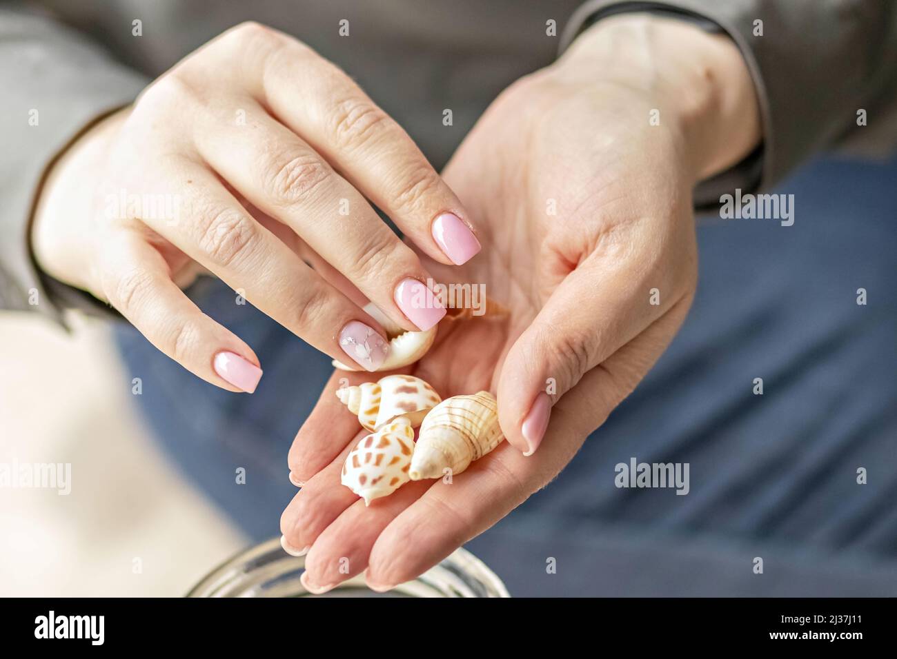Women's hands hold seashells. Puts the shells in a glass jar. Beach ...