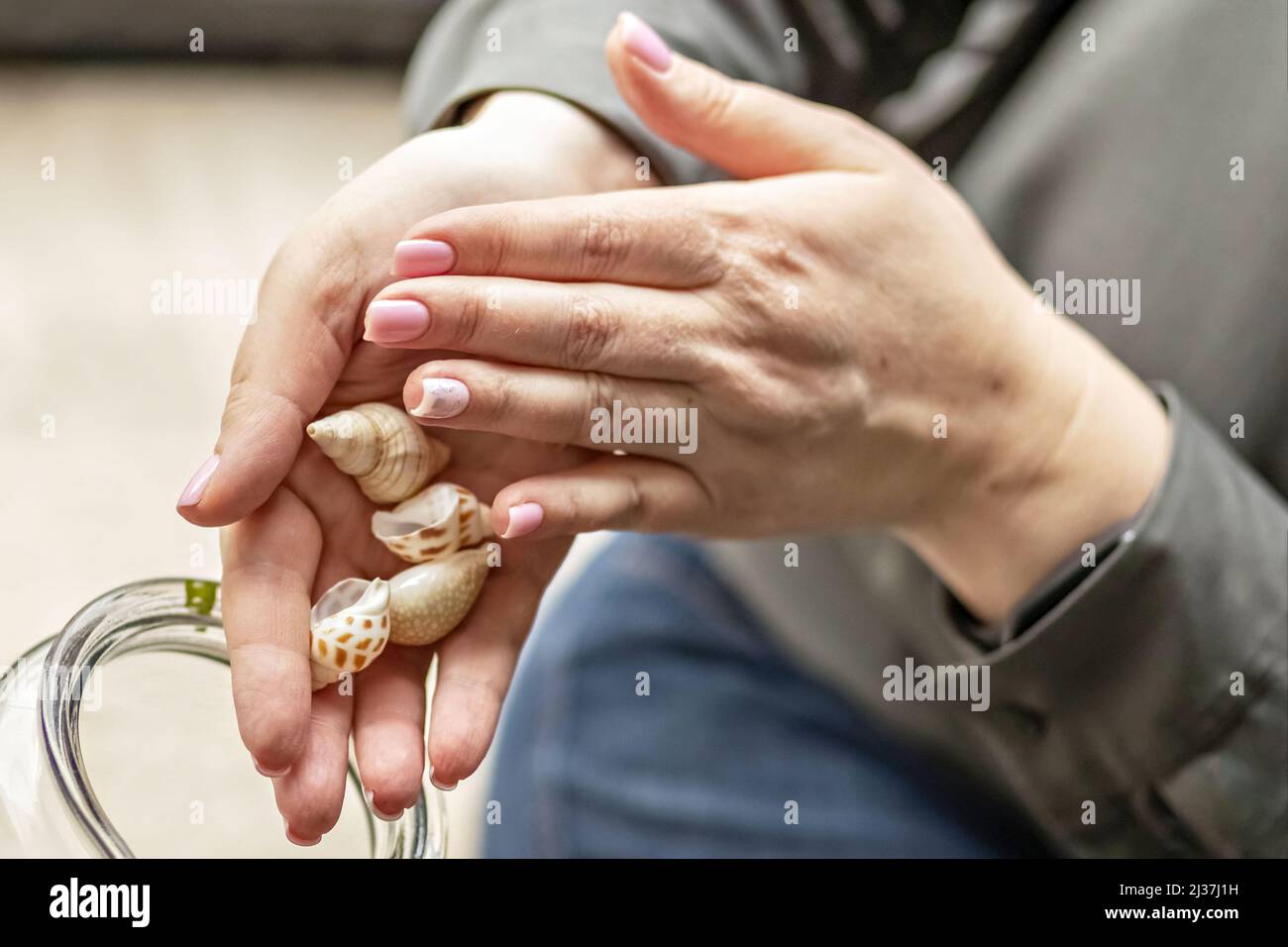 Women's hands hold seashells. Puts the shells in a glass jar. Beach ...