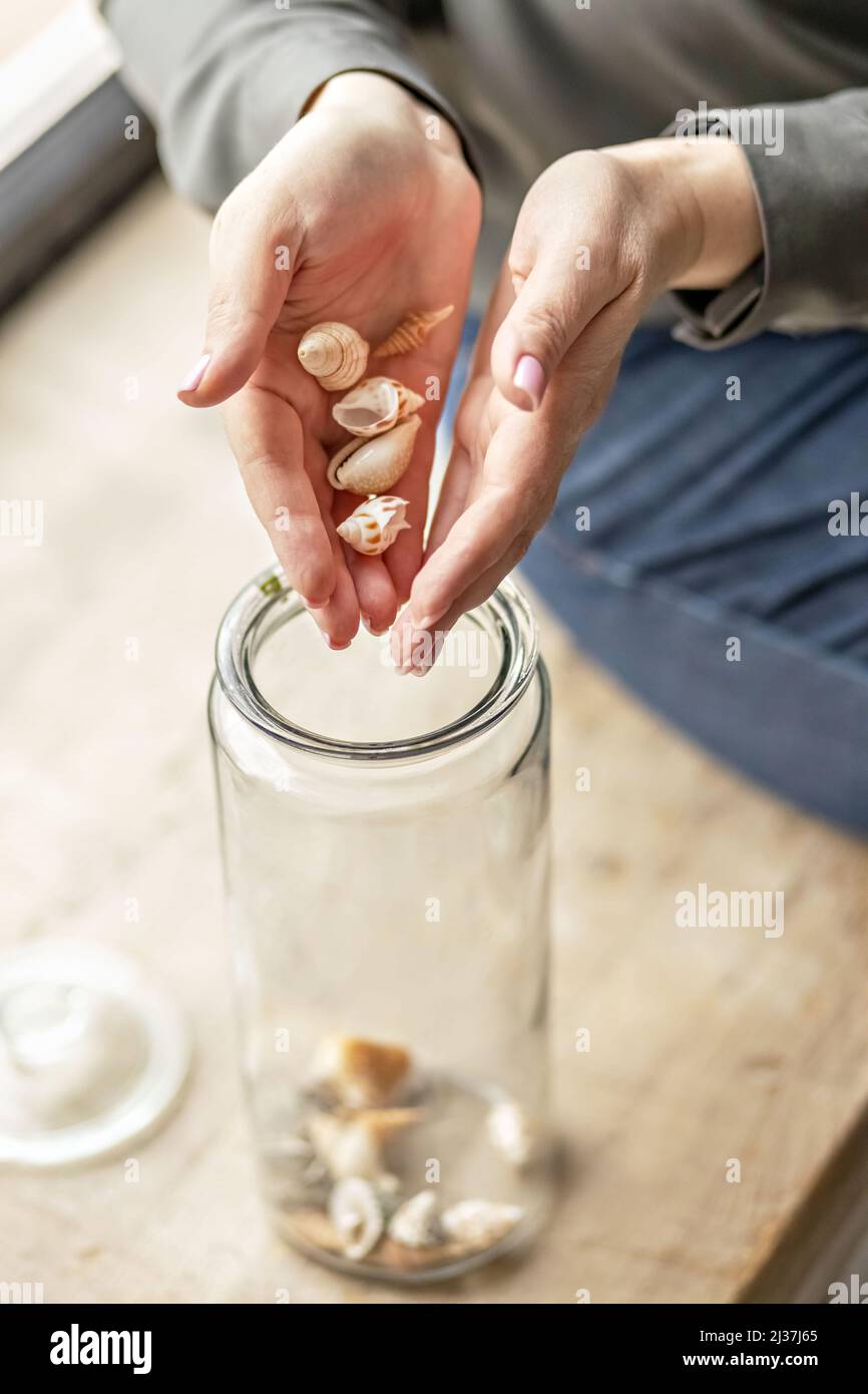Collection of shells in a glass jar hi-res stock photography and images ...