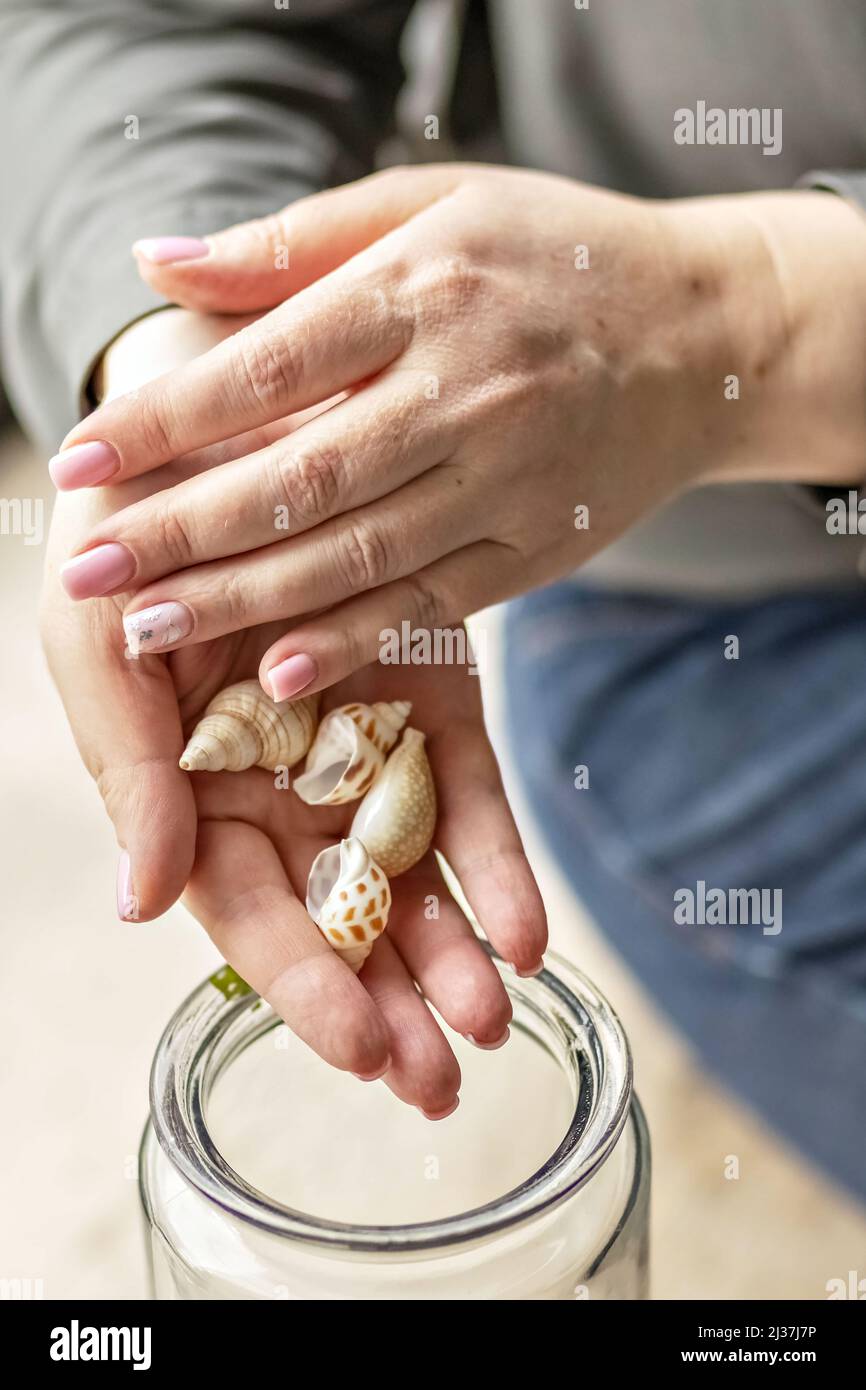 Women's hands hold seashells. Puts the shells in a glass jar. Beach ...