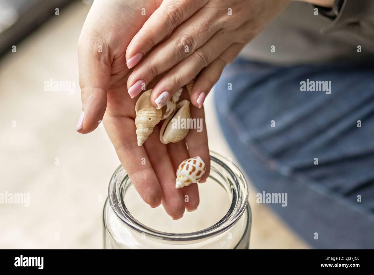 Women's hands hold seashells. Puts the shells in a glass jar. Beach ...
