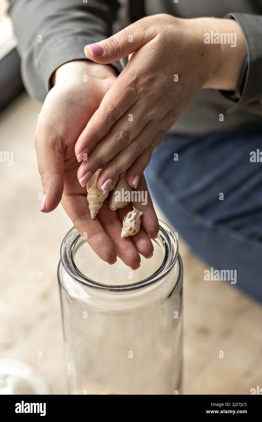 Collection of shells in a glass jar hi-res stock photography and images ...