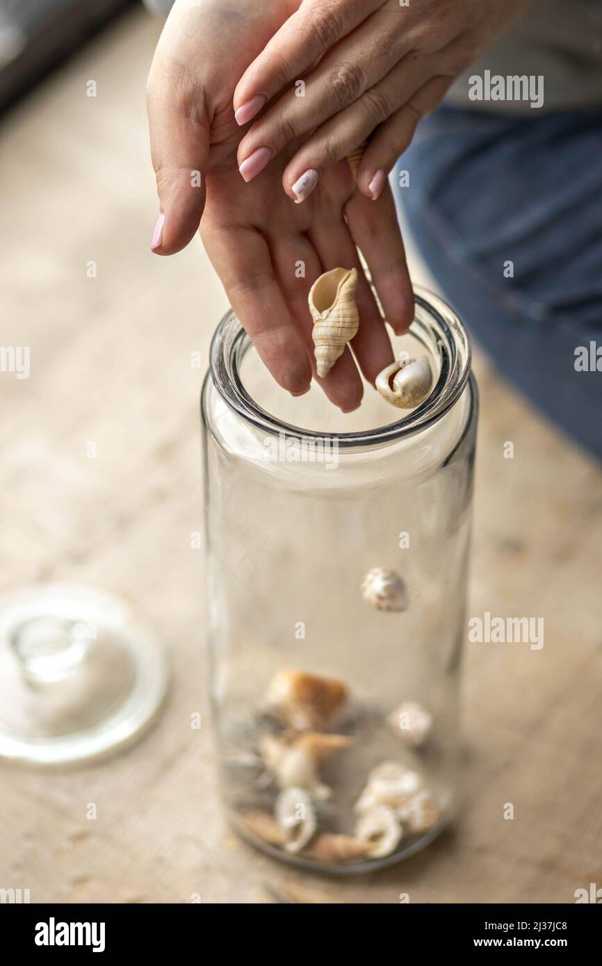 Women's hands hold seashells. Puts the shells in a glass jar. Beach ...